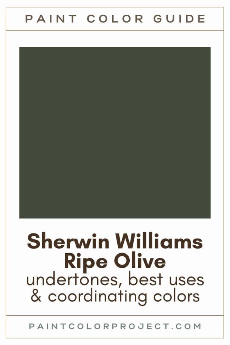 Sherwin Williams Svelte Sage: Complete Color Review - The Paint Color ... Sherwin Williams Svelte Sage: Complete Color Review - The Paint Color ...