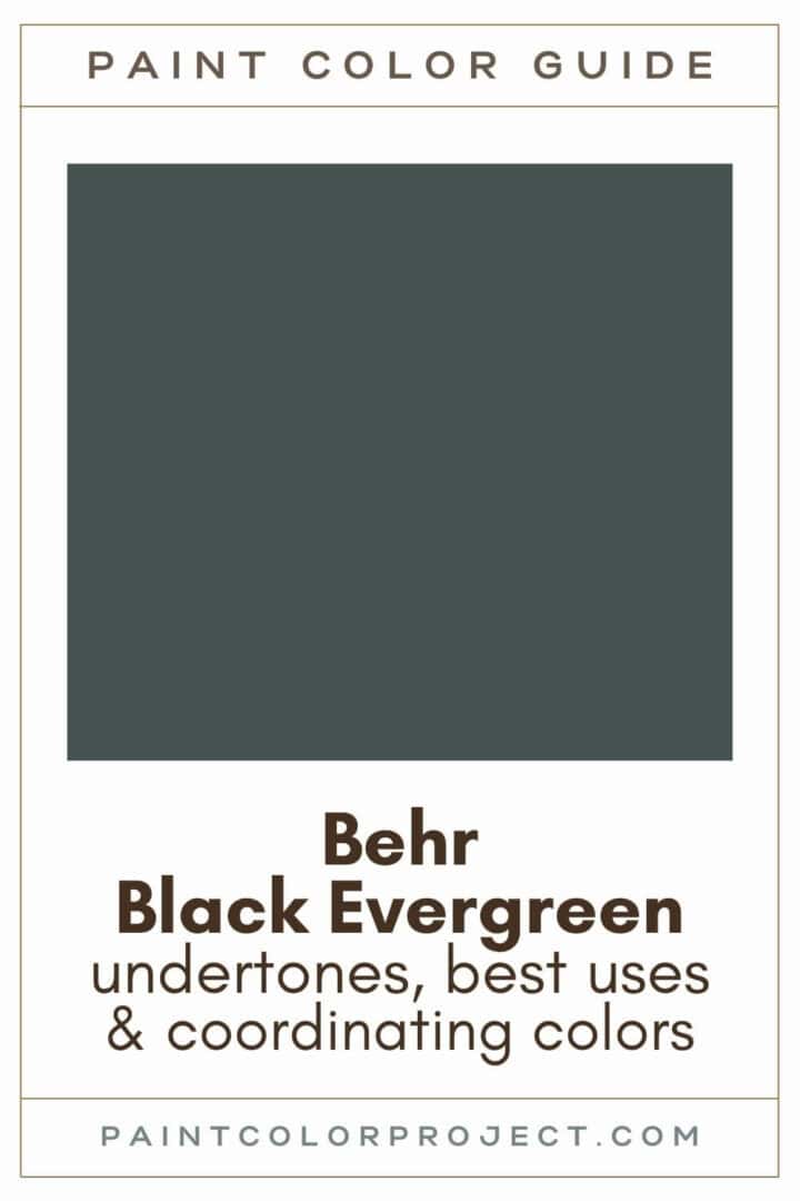 Behr Black Evergreen: A Complete Color Review - The Paint Color Project