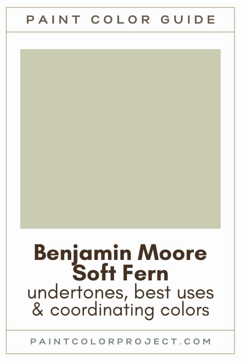 Benjamin Moore Soft Fern: A Complete Color Review - The Paint Color Project