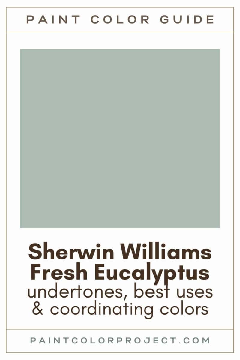 Sherwin Williams Fresh Eucalyptus: A Complete Color Review - The Paint ...
