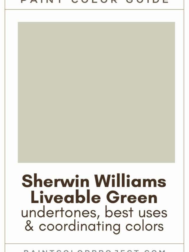 The best Forest Green paint colors - The Paint Color Project