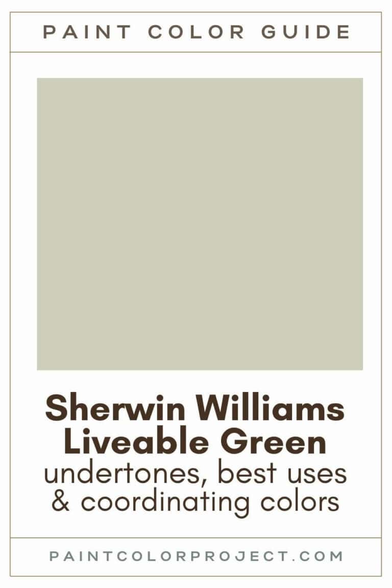Sherwin Williams Liveable Green: A Complete Color Review - The Paint ...