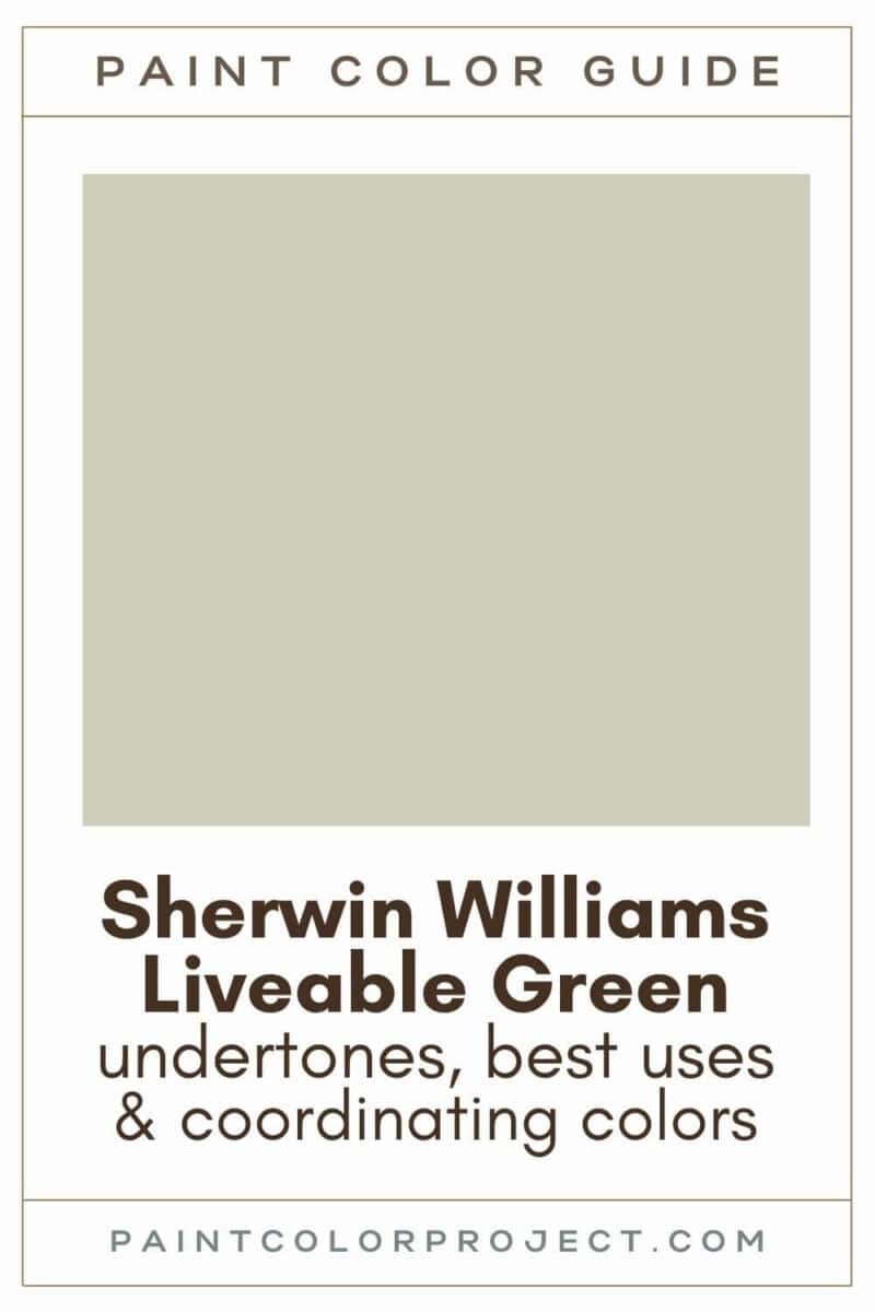 Sherwin Williams Liveable Green: A Complete Color Review - The Paint ...