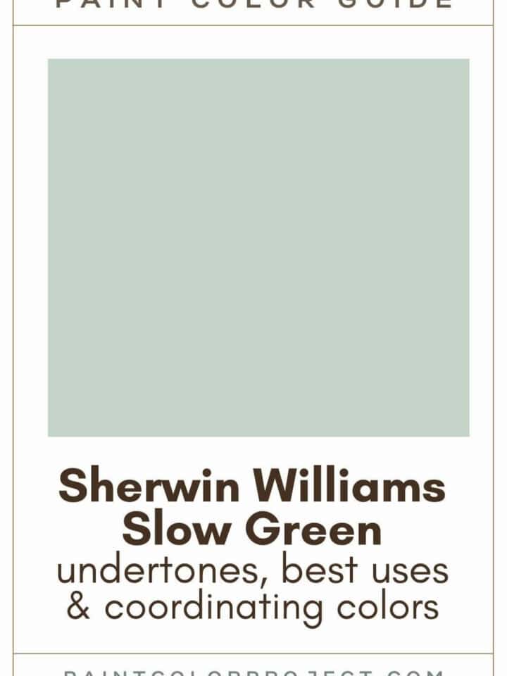 Sherwin Williams Svelte Sage: Complete Color Review - The Paint Color ... Sherwin Williams Svelte Sage: Complete Color Review - The Paint Color ...