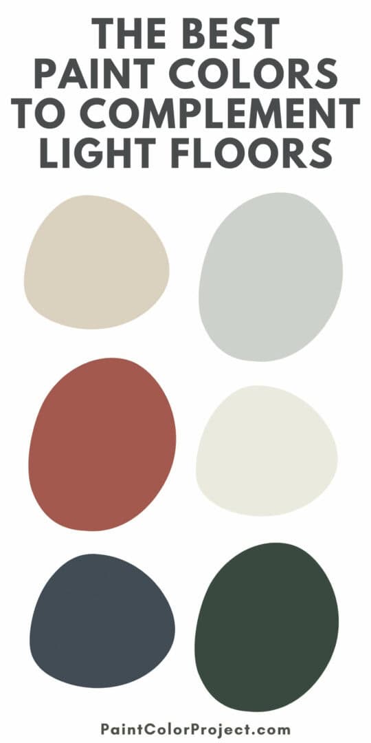 Samplize Review - Peel & Stick Paint Samples - The Paint Color Project