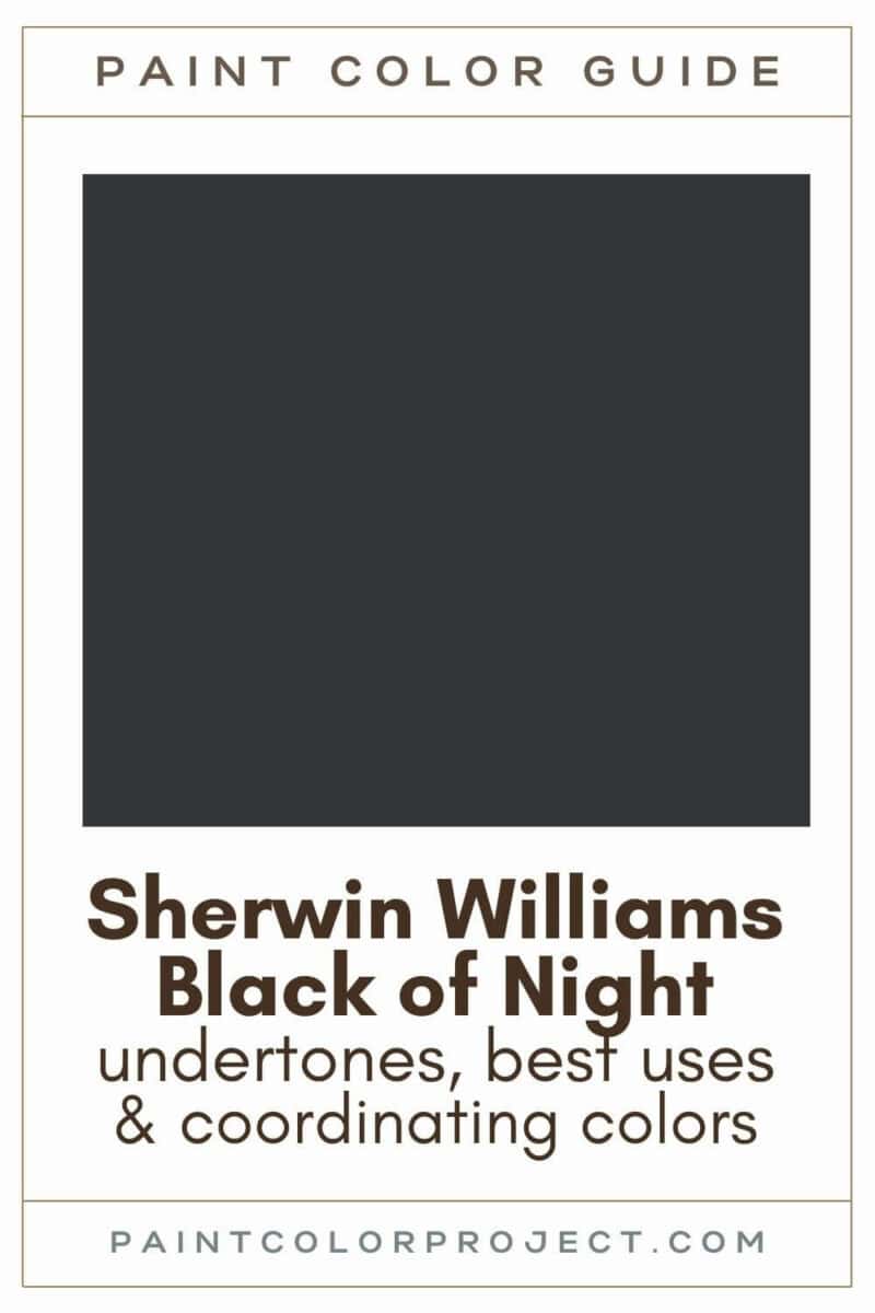 Sherwin Williams Svelte Sage: Complete Color Review - The Paint Color ... Sherwin Williams Svelte Sage: Complete Color Review - The Paint Color ...