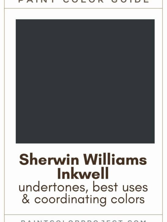 Sherwin Williams Caviar: Complete Color Review - The Paint Color Project