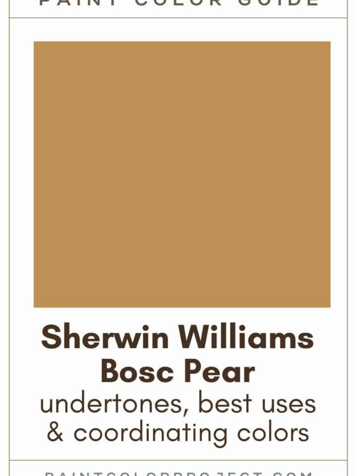 SW Balanced Beige: a complete color review - The Paint Color Project