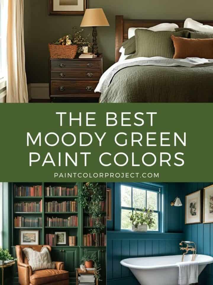 Sherwin Williams Svelte Sage: Complete Color Review - The Paint Color ... Sherwin Williams Svelte Sage: Complete Color Review - The Paint Color ...