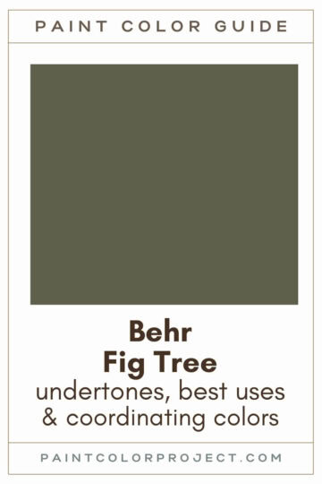 Behr Fig Tree: A Complete Color Review - The Paint Color Project
