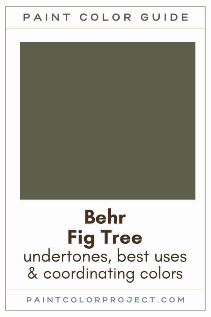 Behr Fig Tree: A Complete Color Review - The Paint Color Project