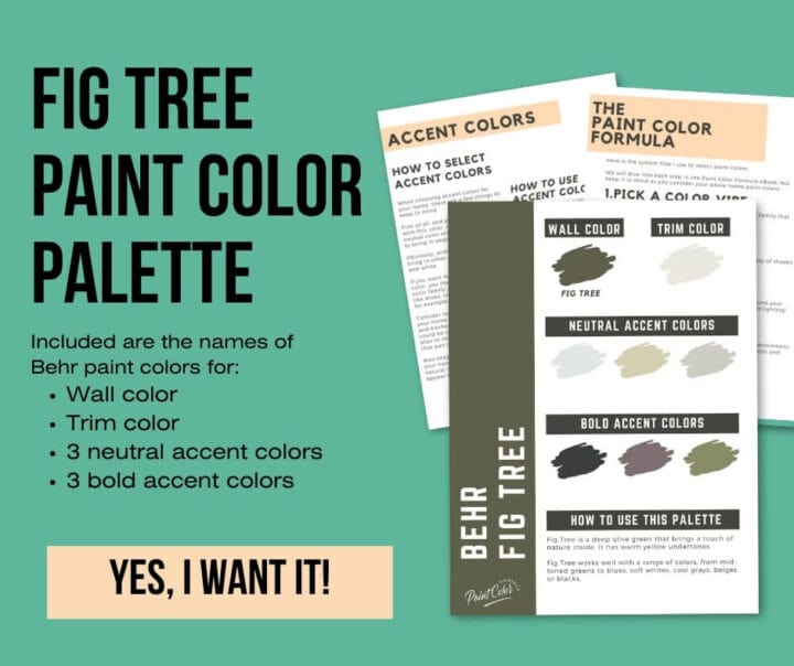 Behr Fig Tree: A Complete Color Review - The Paint Color Project