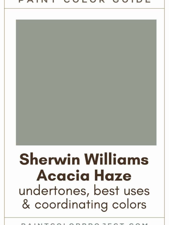 Sherwin Williams Svelte Sage: Complete Color Review - The Paint Color ... Sherwin Williams Svelte Sage: Complete Color Review - The Paint Color ...