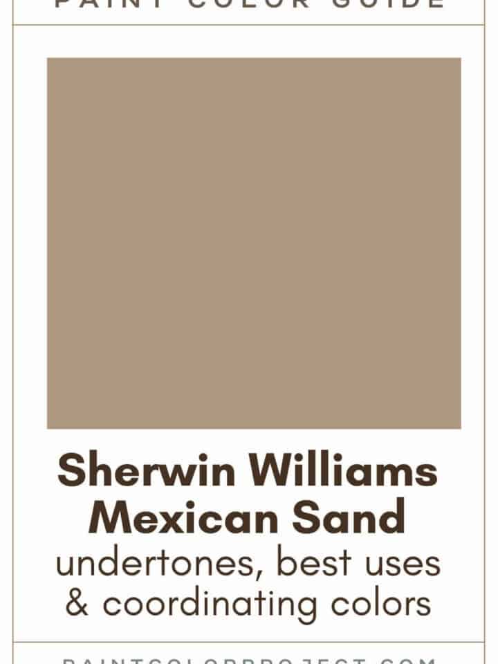Sherwin Williams Cocoa Whip: Complete Color Review - The Paint Color ...