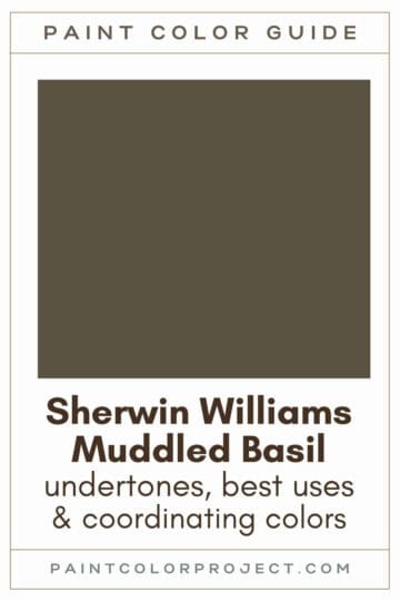 Sherwin Williams Muddled Basil: Complete Color Review - The Paint Color ...
