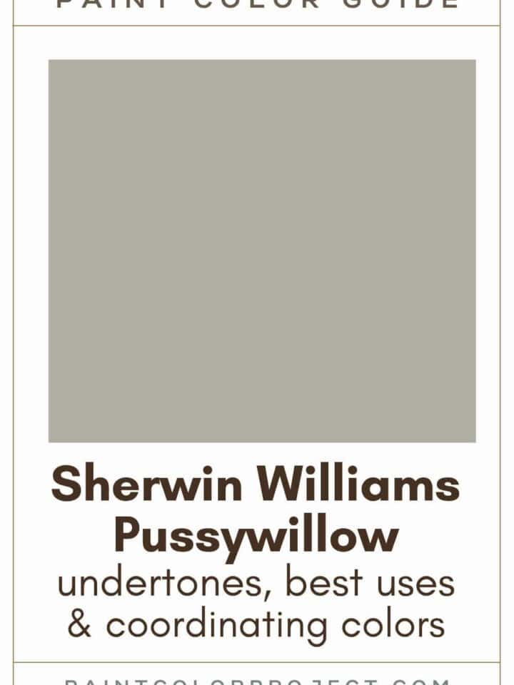 Sherwin Williams Studio Clay: A Complete Color Review - The Paint Color ...