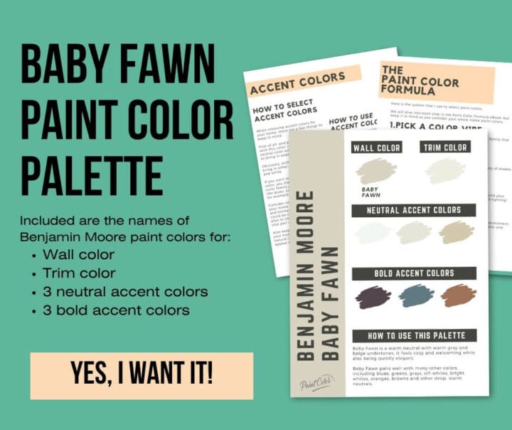Benjamin Moore Baby Fawn: Complete Color Review - The Paint Color Project