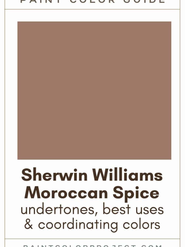 Sherwin Williams Reticence: Complete Color Review - The Paint Color Project
