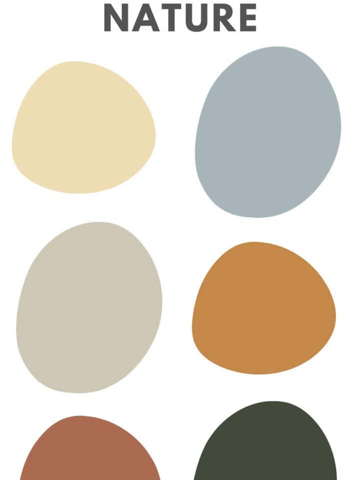 Coquette Aesthetic Paint Colors for Your Home - The Paint Color Project