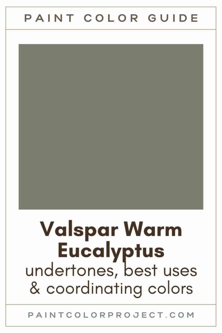 Valspar Warm Eucalyptus: Complete Color Review - The Paint Color Project