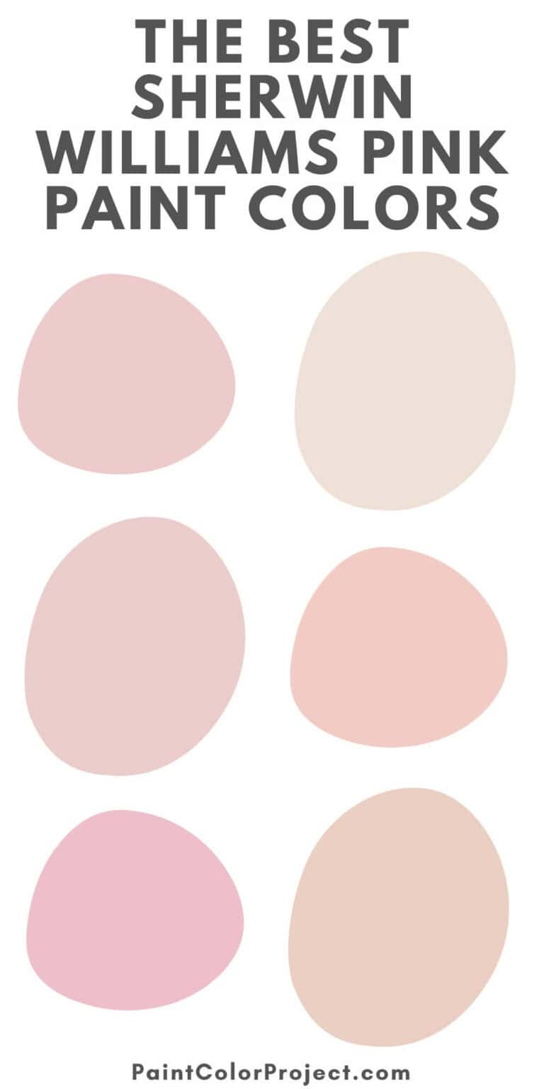 Best Sherwin Williams Pink Paint Colors - The Paint Color Project