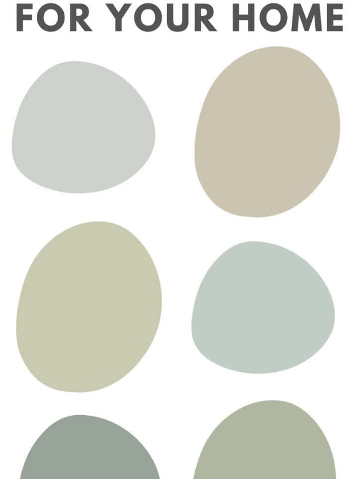 The Best Muted Green Paint Colors - The Paint Color Project