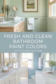 Fresh and Clean Bathroom Paint Color Ideas - The Paint Color Project