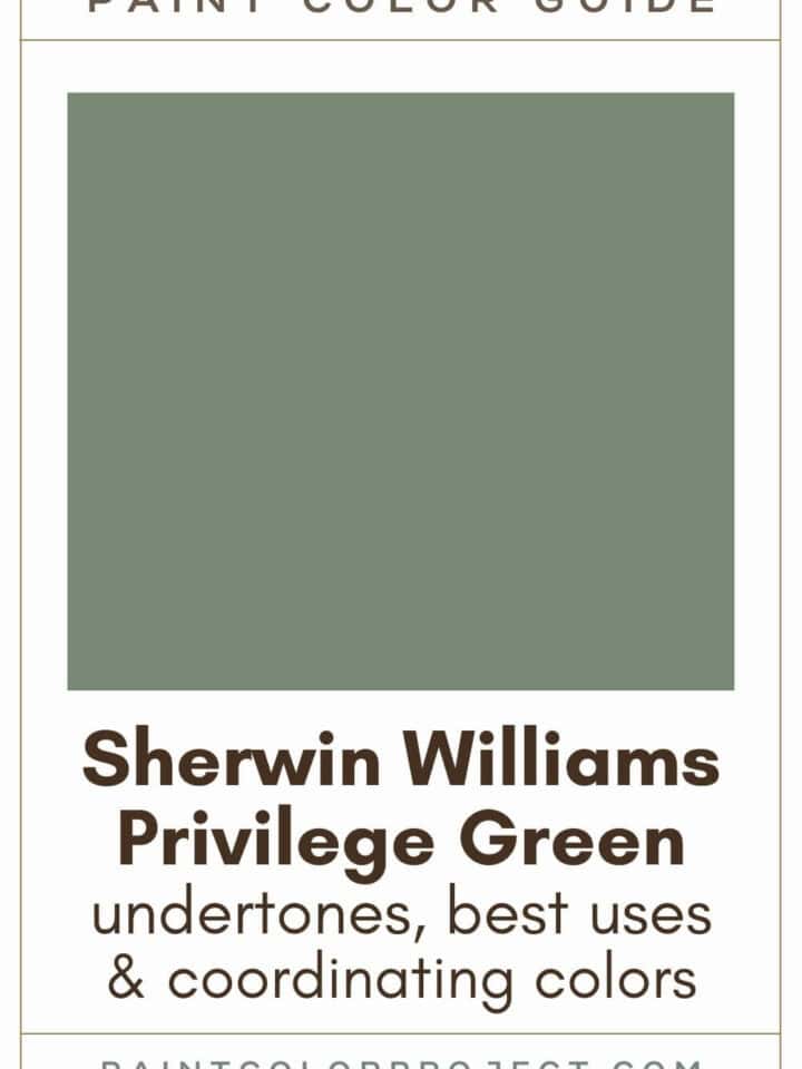 The best Forest Green paint colors - The Paint Color Project