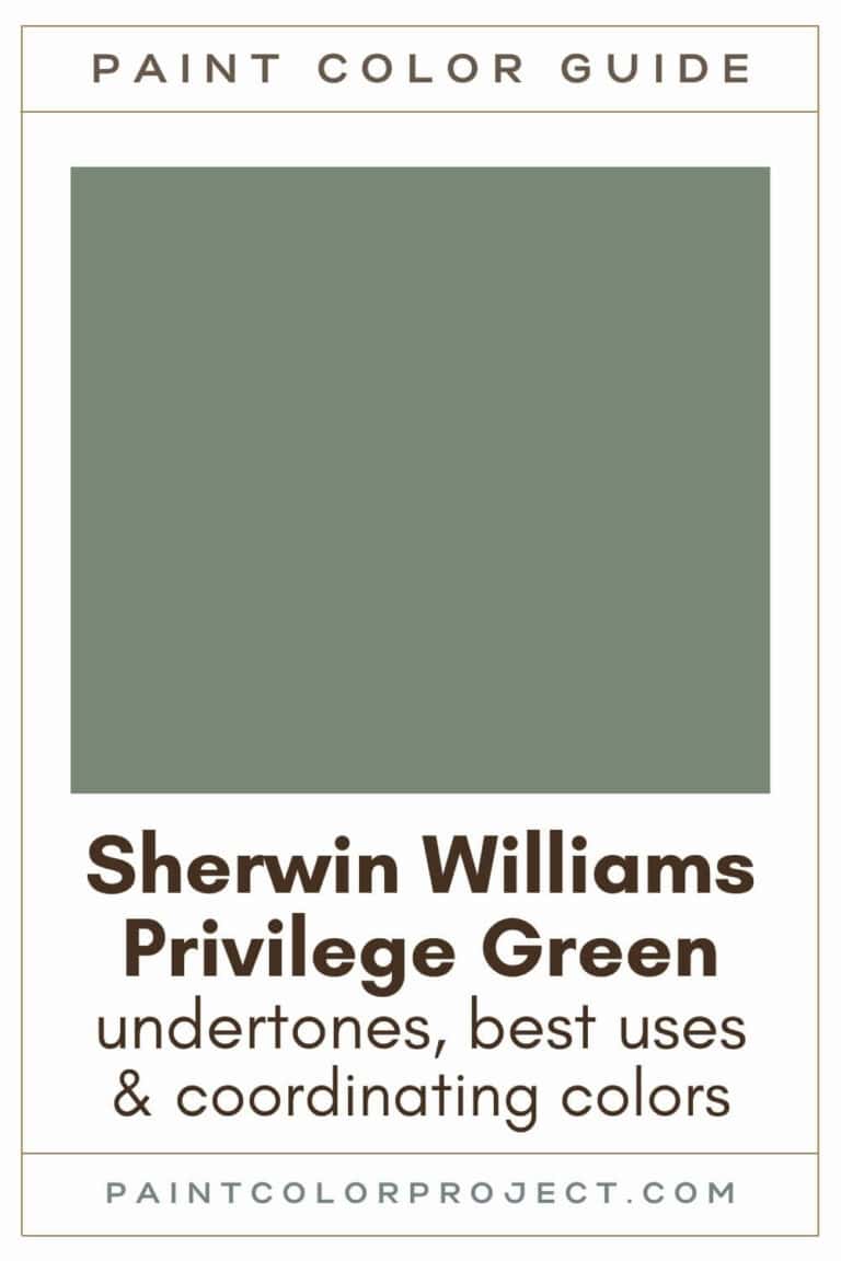 Sherwin Williams Privilege Green: A Complete Color Review - The Paint ...