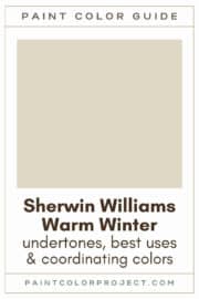 Sherwin Williams Warm Winter: Complete Color Review - The Paint Color ...
