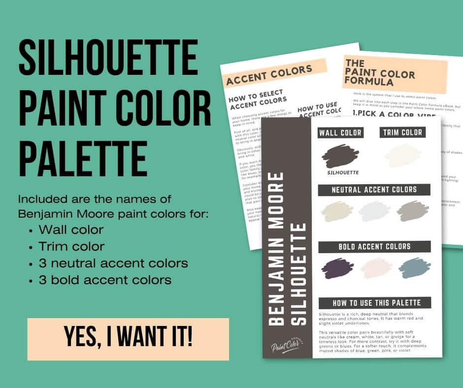 Benjamin Moore Silhouette: A Complete Color Review - The Paint Color ...