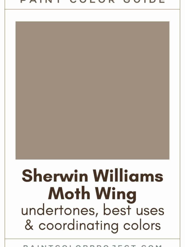 Sherwin Williams Tarragon: A Complete Color Review - The Paint Color ...