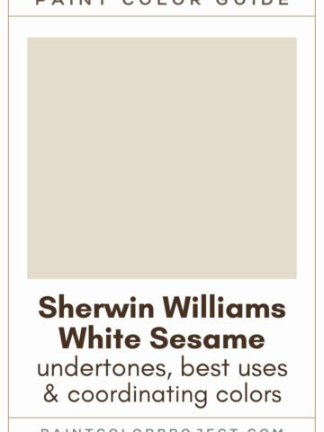 Behr Tranquil Gray: Complete Color Review - The Paint Color Project