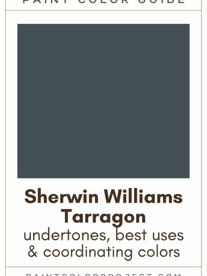 Sherwin Williams Slate Tile: Complete Color Review - The Paint Color ...