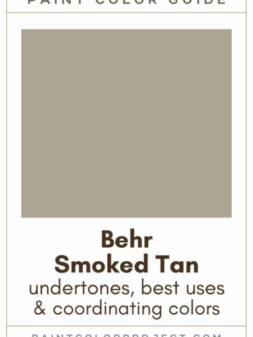Behr Rodeo Tan: A Complete Color Review - The Paint Color Project