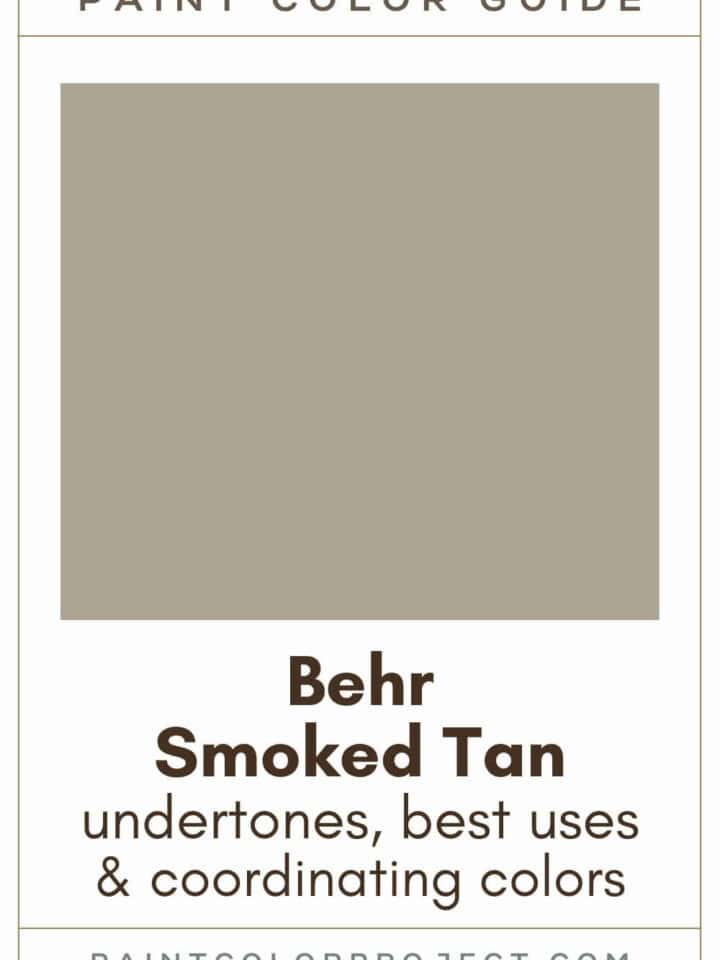 Behr Rodeo Tan: A Complete Color Review - The Paint Color Project