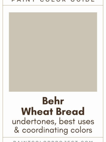 Behr Rodeo Tan: A Complete Color Review - The Paint Color Project